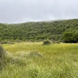 Swampy Summit, Burns Creek, and Leith Saddle Loop, Otago, New Zealand ...