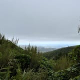 Swampy Summit, Burns Creek, and Leith Saddle Loop, Otago, New Zealand ...