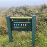 Swampy Summit, Burns Creek, and Leith Saddle Loop, Otago, New Zealand ...