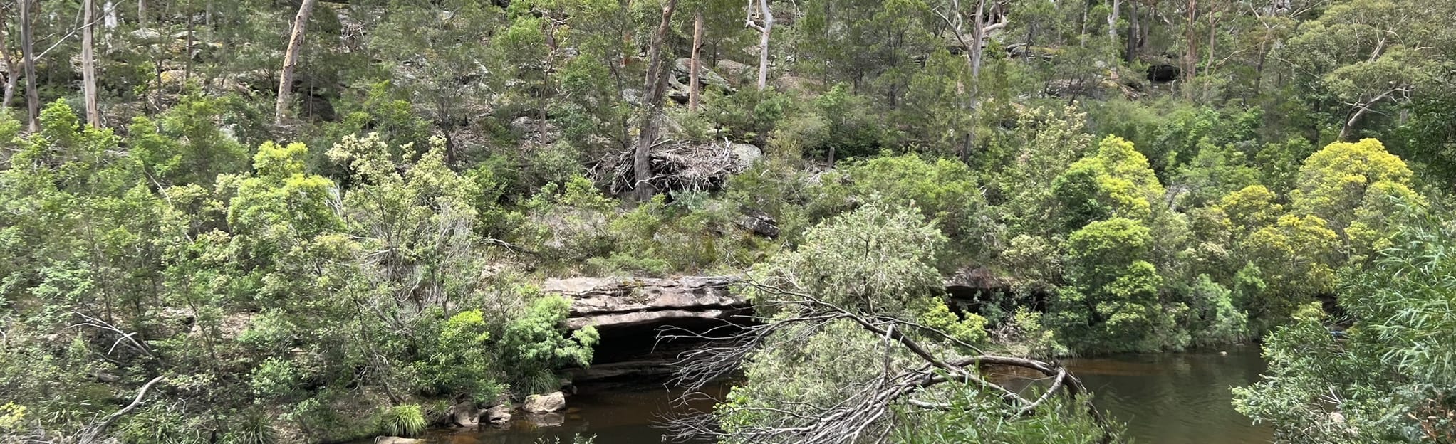 Simmos Beach Reserve Loop, 47 Fotos - New South Wales, Australien ...