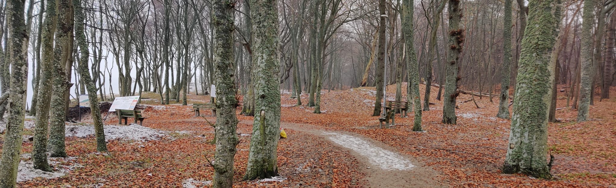 Rowy - Dębina, Pomeranian Voivodeship, Poland - 2 Reviews, Map | AllTrails