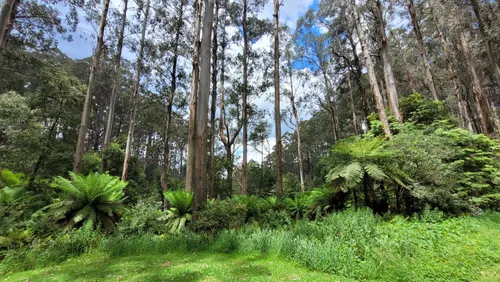 Best Hikes and Trails in Ada River Sawmill Historical and Cultural ...