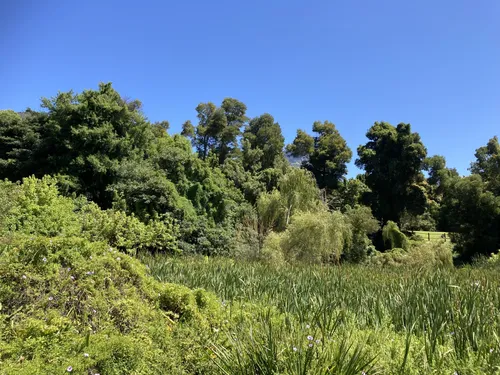 10 Best Kid Friendly Trails in Cape Town | AllTrails