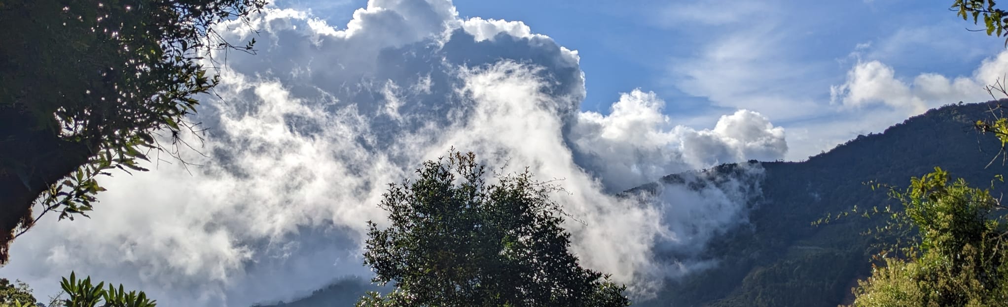 Sendero la Quebrada, San José, Costa Rica - 22 Reviews, Map | AllTrails