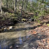 Stannard Pond Peak, Vermont - 87 Reviews, Map | AllTrails