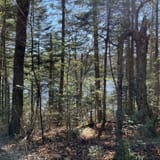 Stannard Pond Peak, Vermont - 87 Reviews, Map | AllTrails