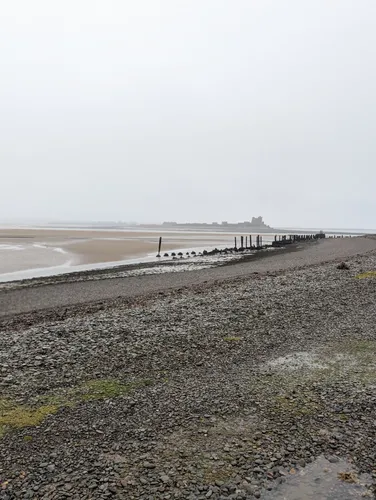 Best Hikes and Trails in South Walney Nature Reserve | AllTrails