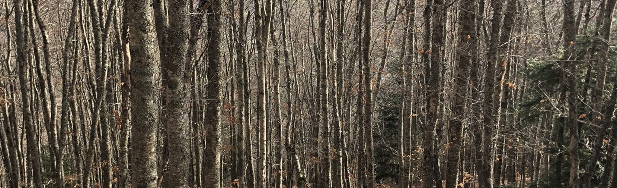 Col du Fau - Col du Serpaton: 38 fotos - Isère, Francia | AllTrails