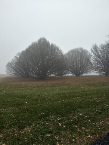 Best Hikes and Trails in Louise W. Moore County Park | AllTrails Best Hikes and Trails in Louise W. Moore County Park | AllTrails