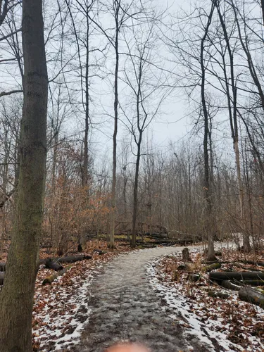 Best Hikes and Trails in Devonwood Conservation Area | AllTrails