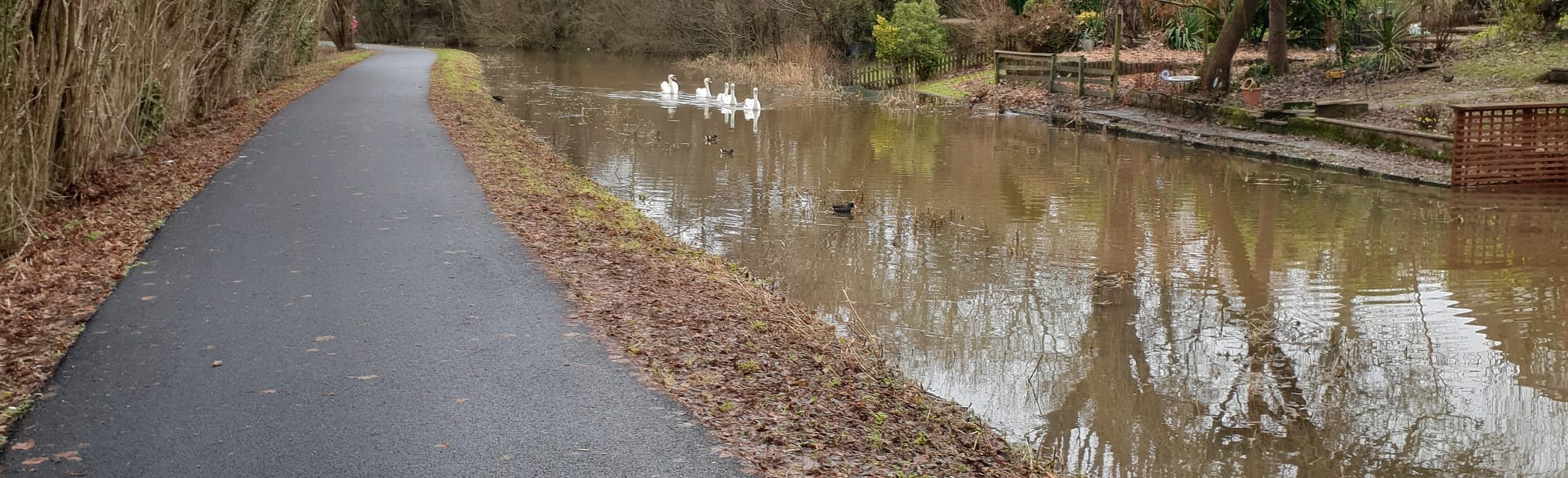 Canal Tow Path from Malpas Road to Two Locks: 71 Reviews, Map - Newport ...