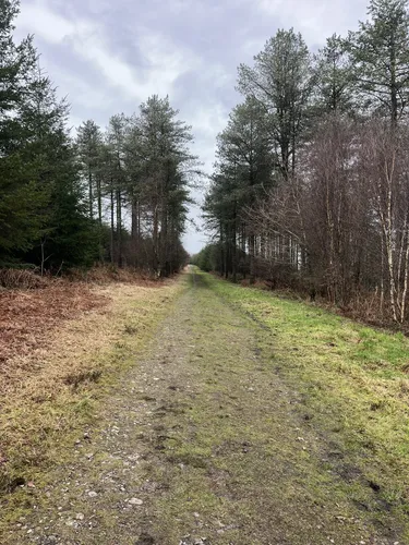 10 Best Hikes and Trails in Blackdown Hills National Landscape (AONB ...