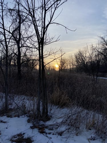 Best Hikes and Trails in Wickiup Hill County Park | AllTrails