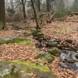 Pine Swamp Loop, New York - 1,050 Reviews, Map | AllTrails