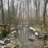 Pine Swamp Loop, New York - 1,050 Reviews, Map | AllTrails