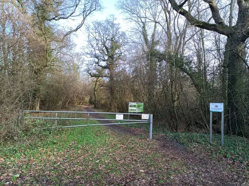 Best Hikes and Trails in Wayland Wood | AllTrails