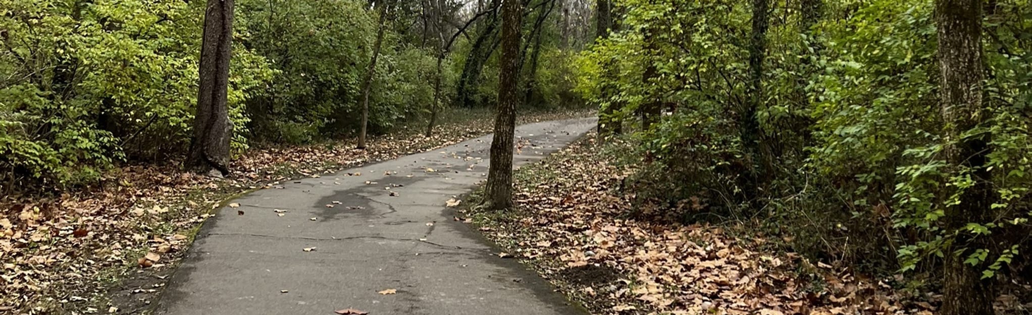 Deerwood Arboretum Trail, Tennessee - 116 Reviews, Map | AllTrails