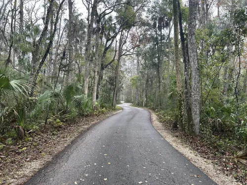 10 Best Trails and Hikes in Homosassa | AllTrails
