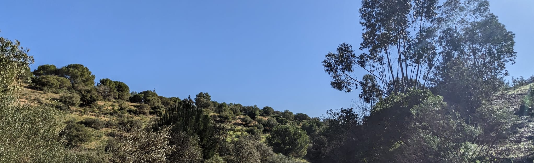 Rota do Pulo do Lobo, Beja, Portugal - 5 Reviews, Map | AllTrails