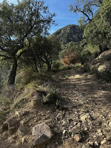 2023 Best Waterfall Trails in Gualba | AllTrails