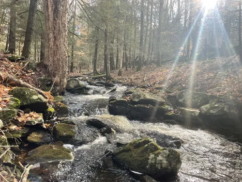 Best Hikes and Trails in Day Pond State Park | AllTrails