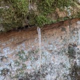 Upper Guild Trail, Tennessee - 481 Reviews, Map | AllTrails