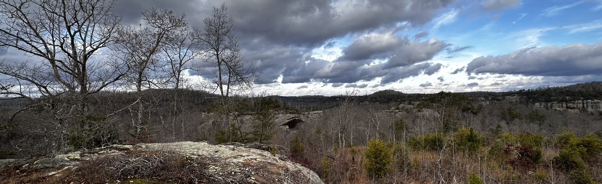 Natural Arch Loop: 497 Reviews, Map - Kentucky | AllTrails