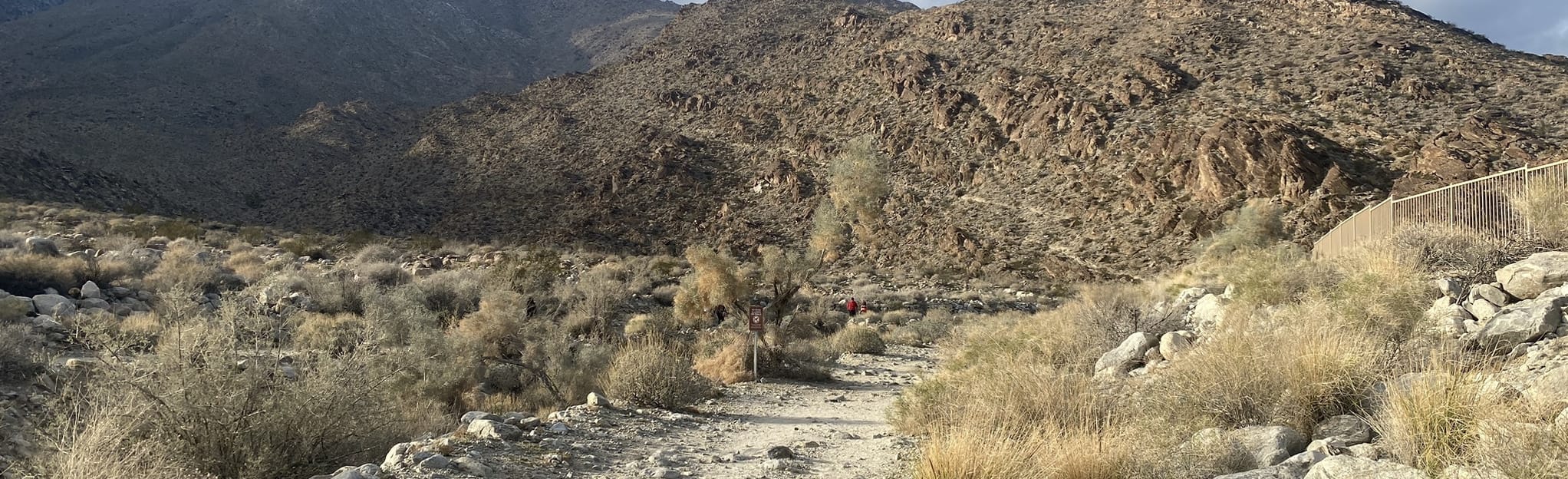 Cahuilla Canyon Trail, 665 Photos - California | AllTrails