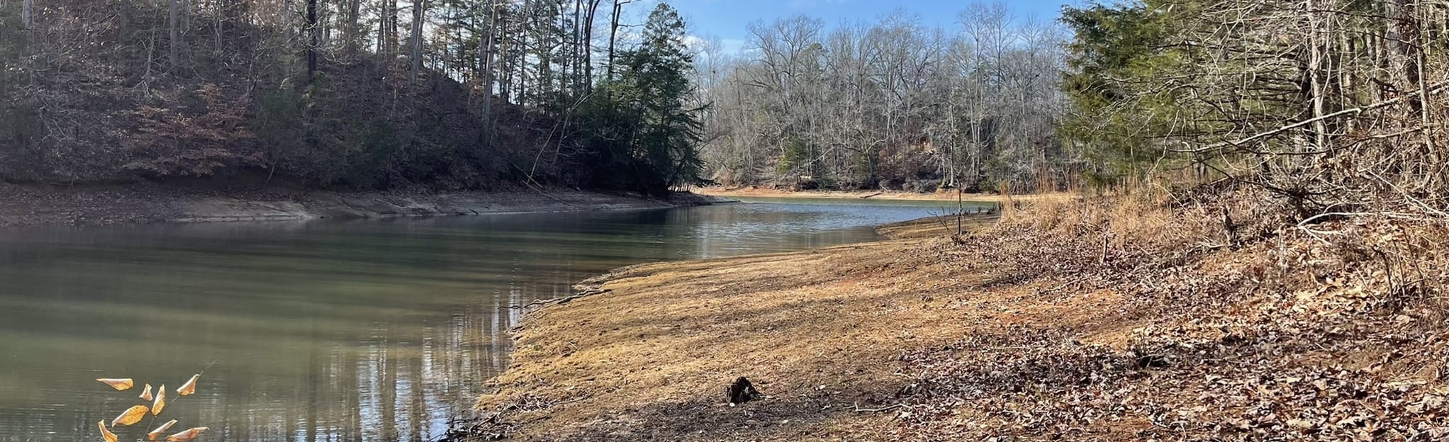 Lake Hartwell State Recreation Area Loop, South Carolina - 158 Reviews ...