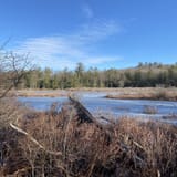 Pine Swamp Loop, New York - 1,050 Reviews, Map | AllTrails