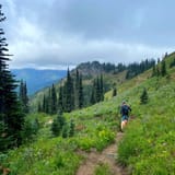 Tatoosh Ridge Trail, Washington - 286 Reviews, Map | AllTrails