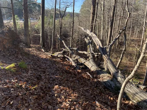 10 Best Hikes and Trails in William B. Umstead State Park | AllTrails