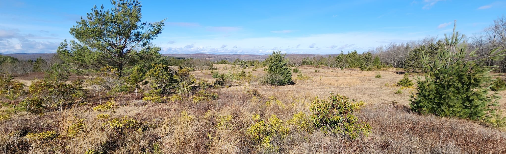 Beaver Creek to Moon Rocks Trail, West Virginia - 35 Reviews, Map ...