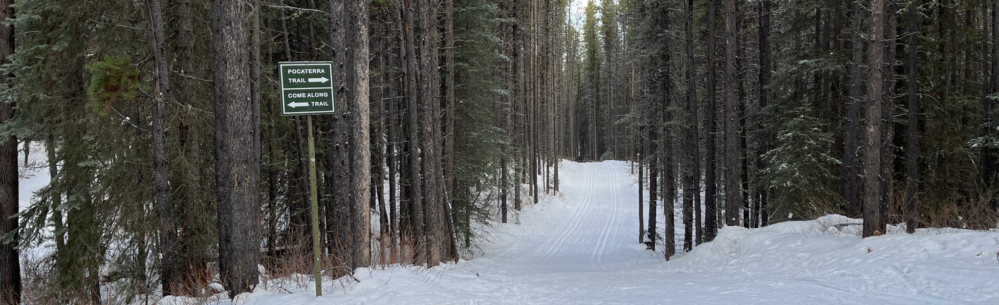 Pocaterra - Packers - Wheeler - Meadow, Alberta, Canada - 35 Reviews ...