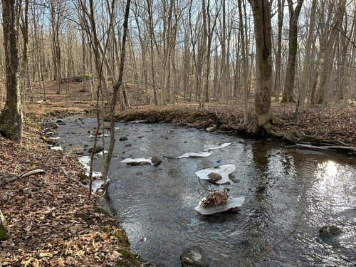 Best Hikes and Trails in Angle Fly Preserve | AllTrails