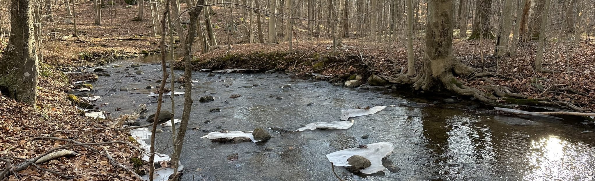 Angle Fly Yellow and Blue Trail, New York - 27 Reviews, Map | AllTrails