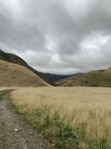 Best Hikes and Trails in Wind Wolves Preserve | AllTrails