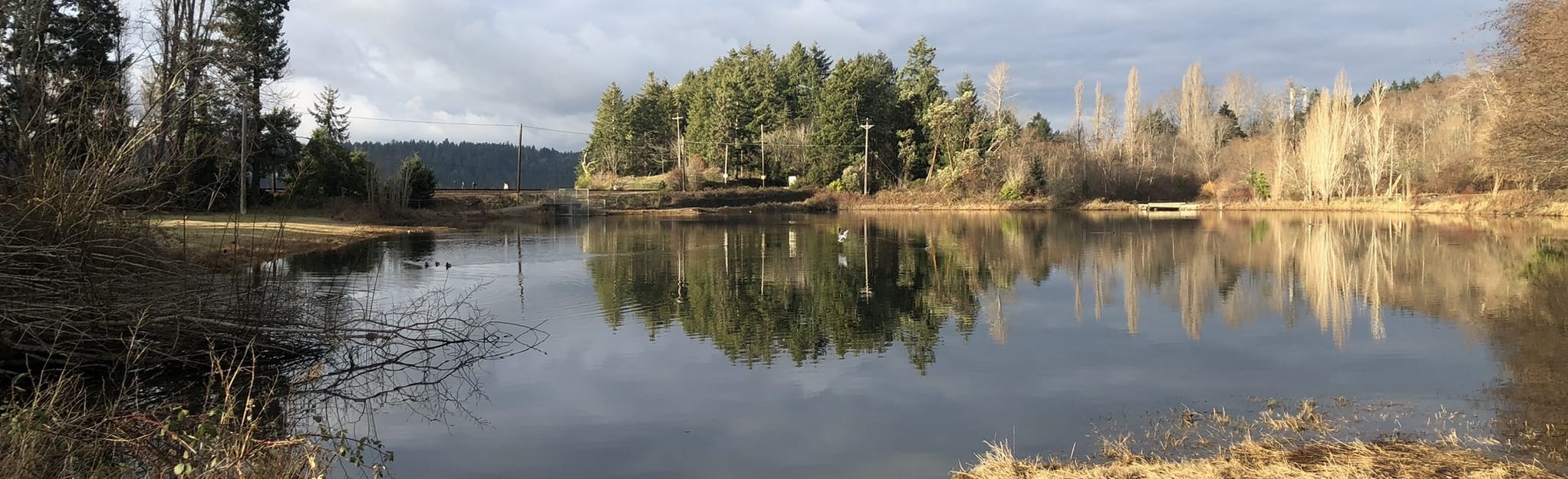 Titlow Park: 469 Reviews, Map - Washington | AllTrails