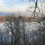 Bee Tree Lake Loop, Missouri - 556 Reviews, Map | AllTrails