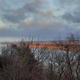 Bee Tree Lake Loop, Missouri - 556 Reviews, Map | AllTrails