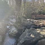 Scales Trail via Appalachian Trail, Virginia - 48 Reviews, Map | AllTrails