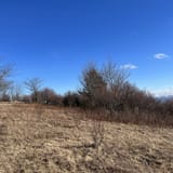 Scales Trail via Appalachian Trail, Virginia - 48 Reviews, Map | AllTrails