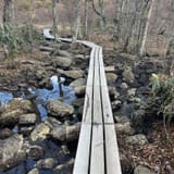 Scales Trail via Appalachian Trail, Virginia - 48 Reviews, Map | AllTrails