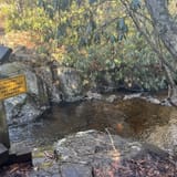 Scales Trail via Appalachian Trail, Virginia - 48 Reviews, Map | AllTrails