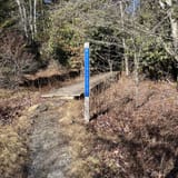 Scales Trail via Appalachian Trail, Virginia - 48 Reviews, Map | AllTrails