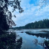 Yellow Point Bog Ecological Reserve and Yellow Point Park Loop, British ...