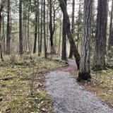 Yellow Point Bog Ecological Reserve and Yellow Point Park Loop, British ...