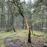 Yellow Point Bog Ecological Reserve and Yellow Point Park Loop, British ...