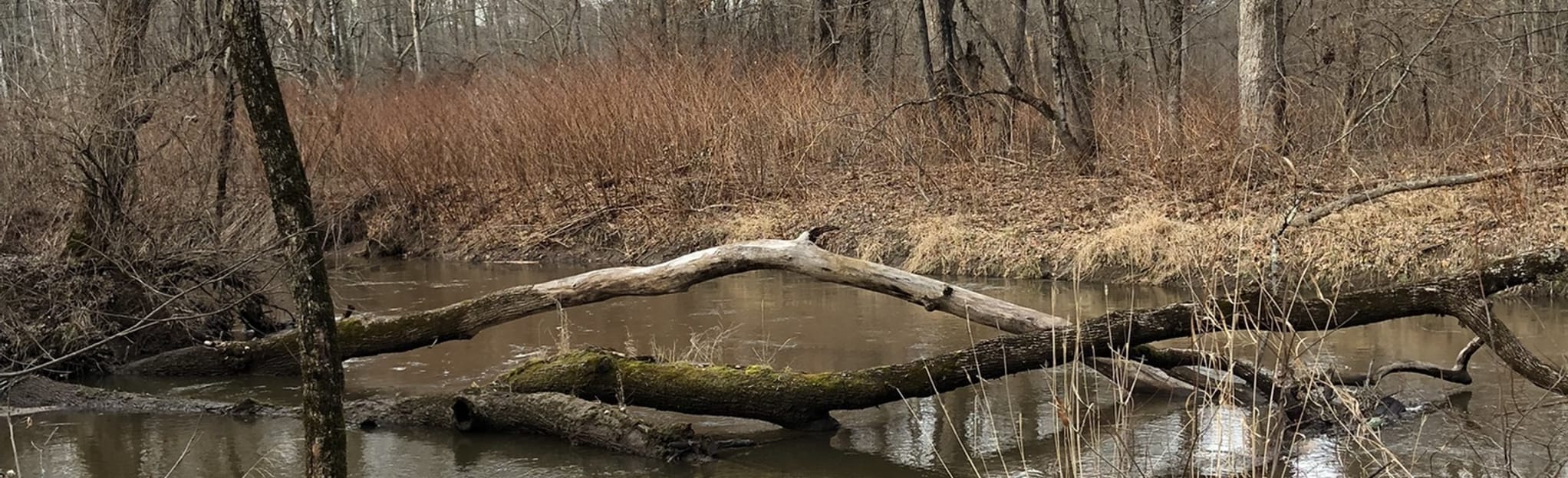 River Loop: 184 Reviews, Map - Connecticut | AllTrails