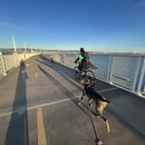 Bay Bridge Trail, California - 729 Reviews, Map | AllTrails